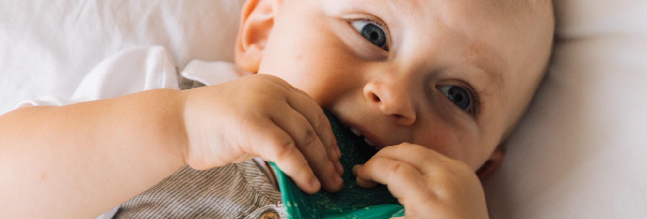 Chlorofyll Leaf Teether – Oli&Carol