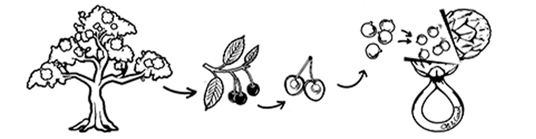 Rattle Toys | Sustainable Toys | Oli&Carol